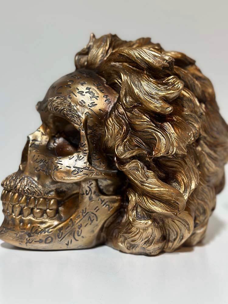 Albert Einstein Skull, Einstein's Theory of Relativity, Bronze Skull ...