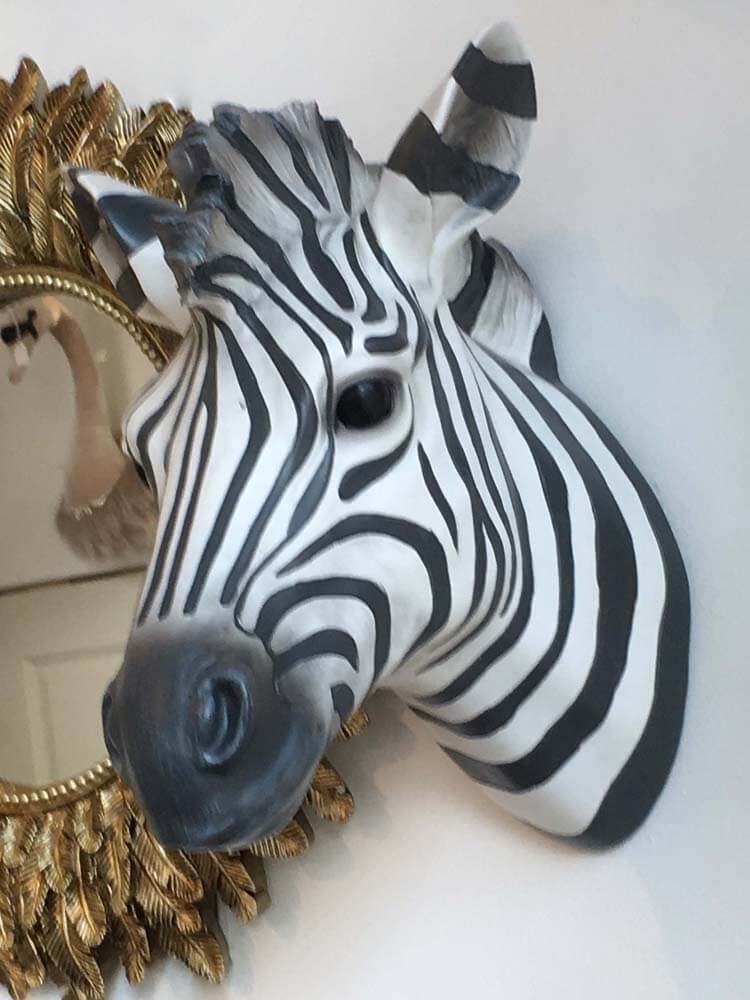 Zebra Head Wall Mount Small, 30cm – Dutch Hospital Luxury Lifestyle