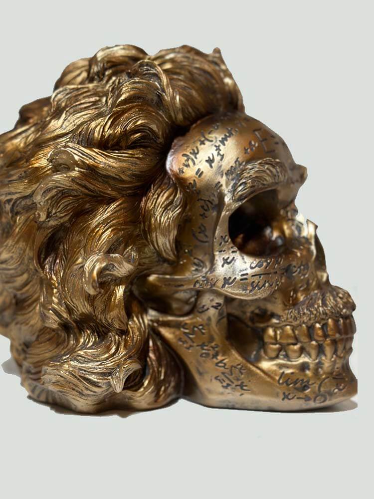Albert Einstein Skull, Einstein's Theory of Relativity, Bronze Skull ...