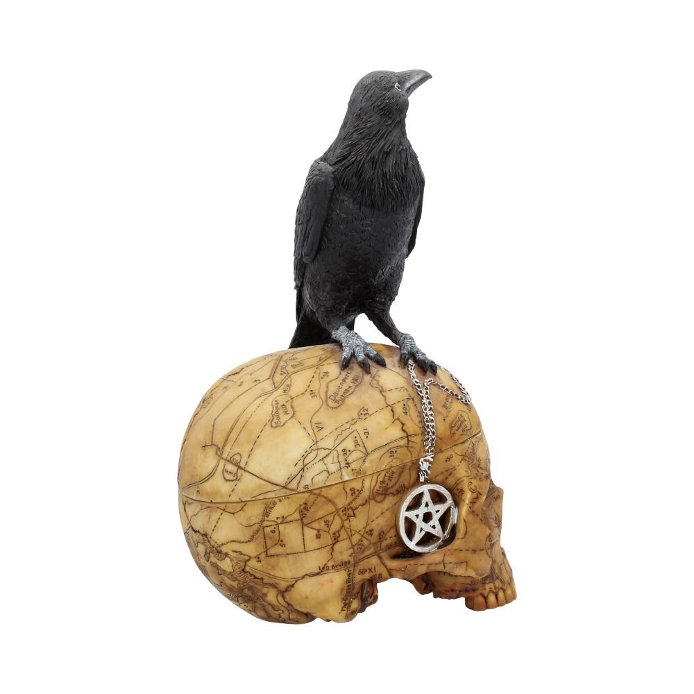 Human Skull: Salems Familiar | The Dutch Hospital (Luxury Lifestyle)