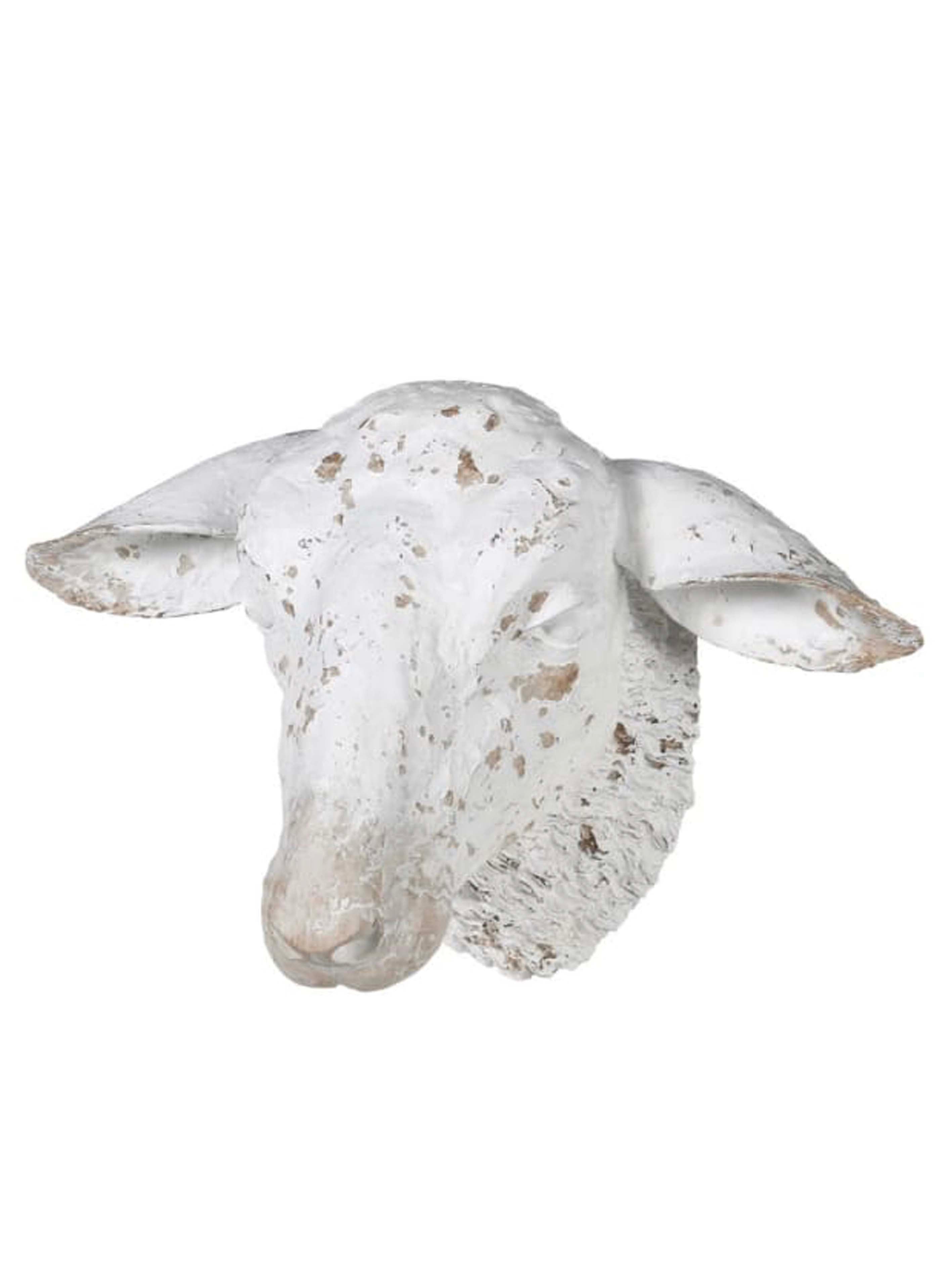 Sheep Head Wall Décor, Black Sheep, White Sheep Head, 25cm – Dutch ...